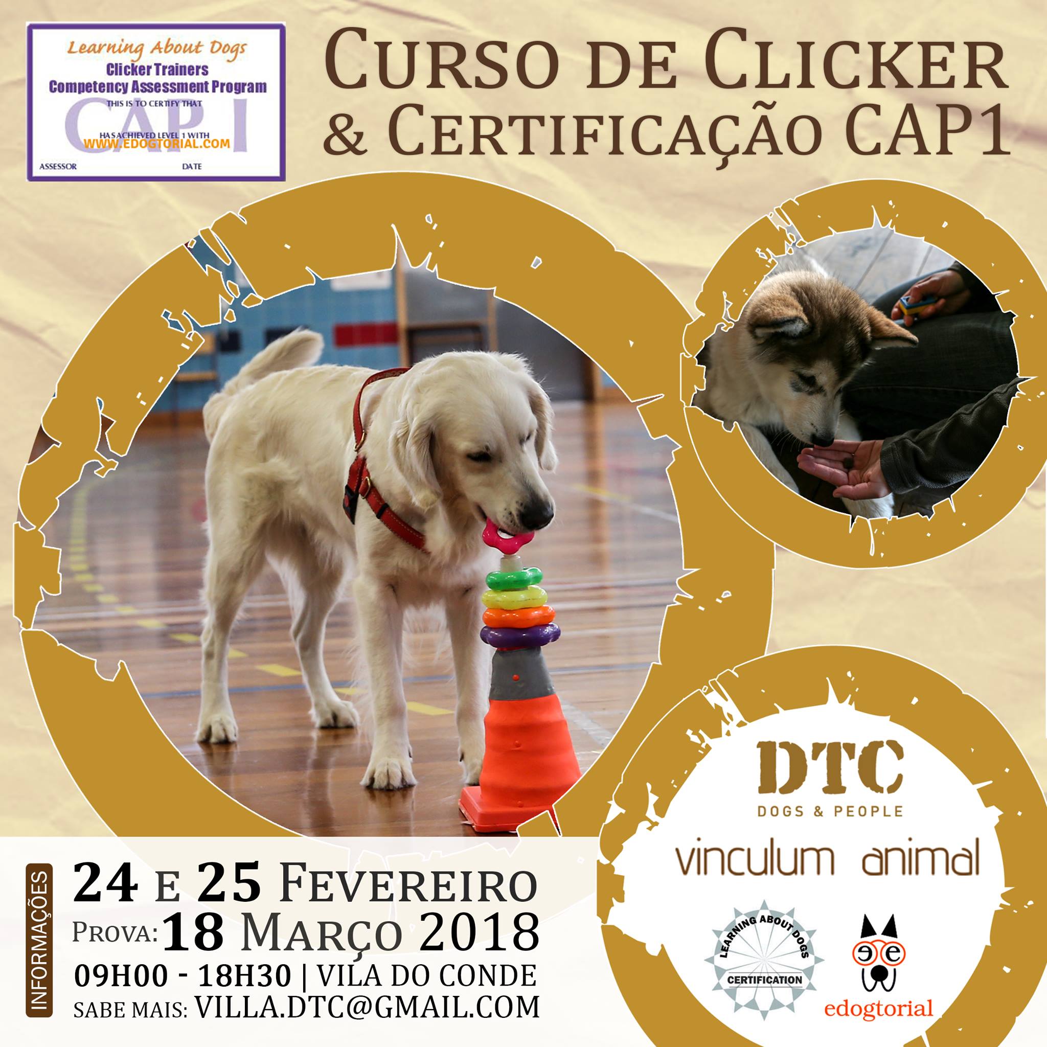 Cursos de Clicker e certificação CAP – Nível 1 – 2ª Edição – DTC