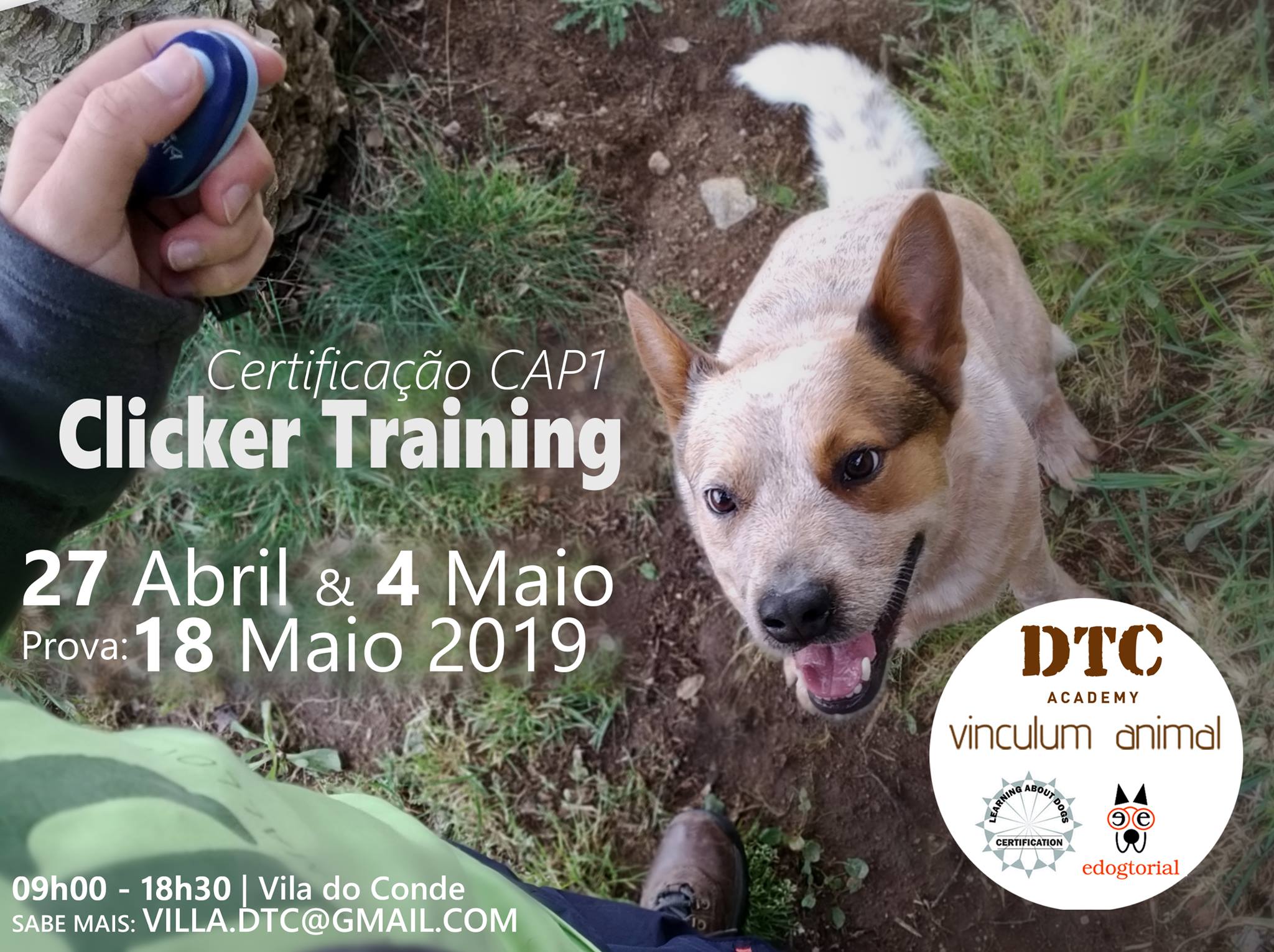Cursos de Clicker e certificação CAP – Nível 1 – 3ª Edição – DTC