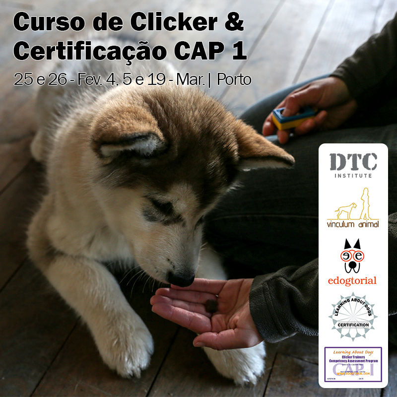 Cursos de Clicker e certificação CAP – Nível 1 & 2 – 1ª Edição – DTC